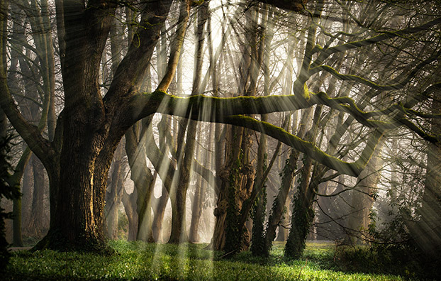 lighting-through-featured » Shift Art