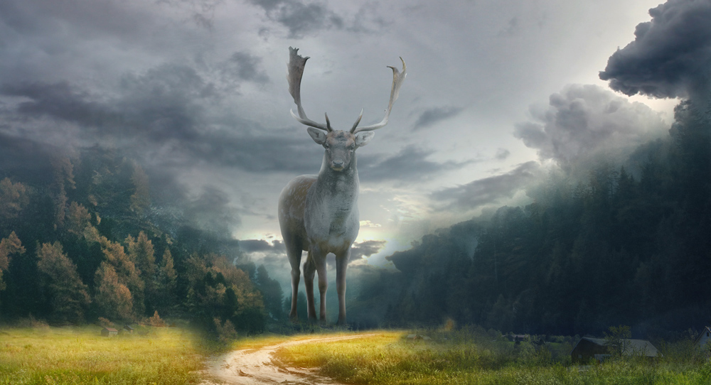 surreal-12a » Shift Art