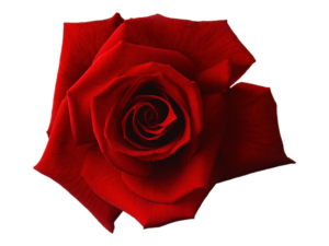 Current Shift Art Photoshop Challenge