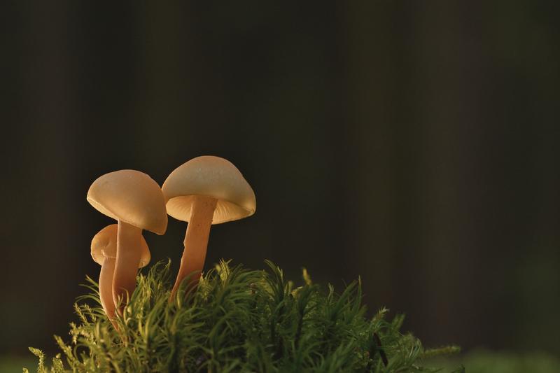 Current Shift Art Photoshop Challenge